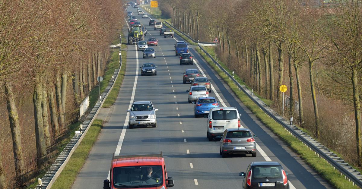 Viele Bäume müssen für B45-Ausbau zwischen Dieburg und Groß-Umstadt fallen